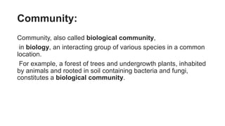 1603638315-lecture-22-community-soil-relationship.pptx