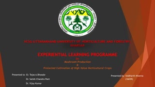 Experiential learning programme | PPTX