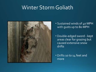 Dr. T.R. Lansford III - Winter Storm Goliath: Lessons Learned | PPT
