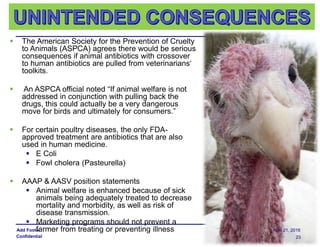 Dr. Leah Dorman - Antibiotic Free (ABF), No Antibiotics Ever (NAE ...