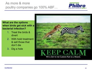 Dr. Leah Dorman - Antibiotic Free (ABF), No Antibiotics Ever (NAE ...