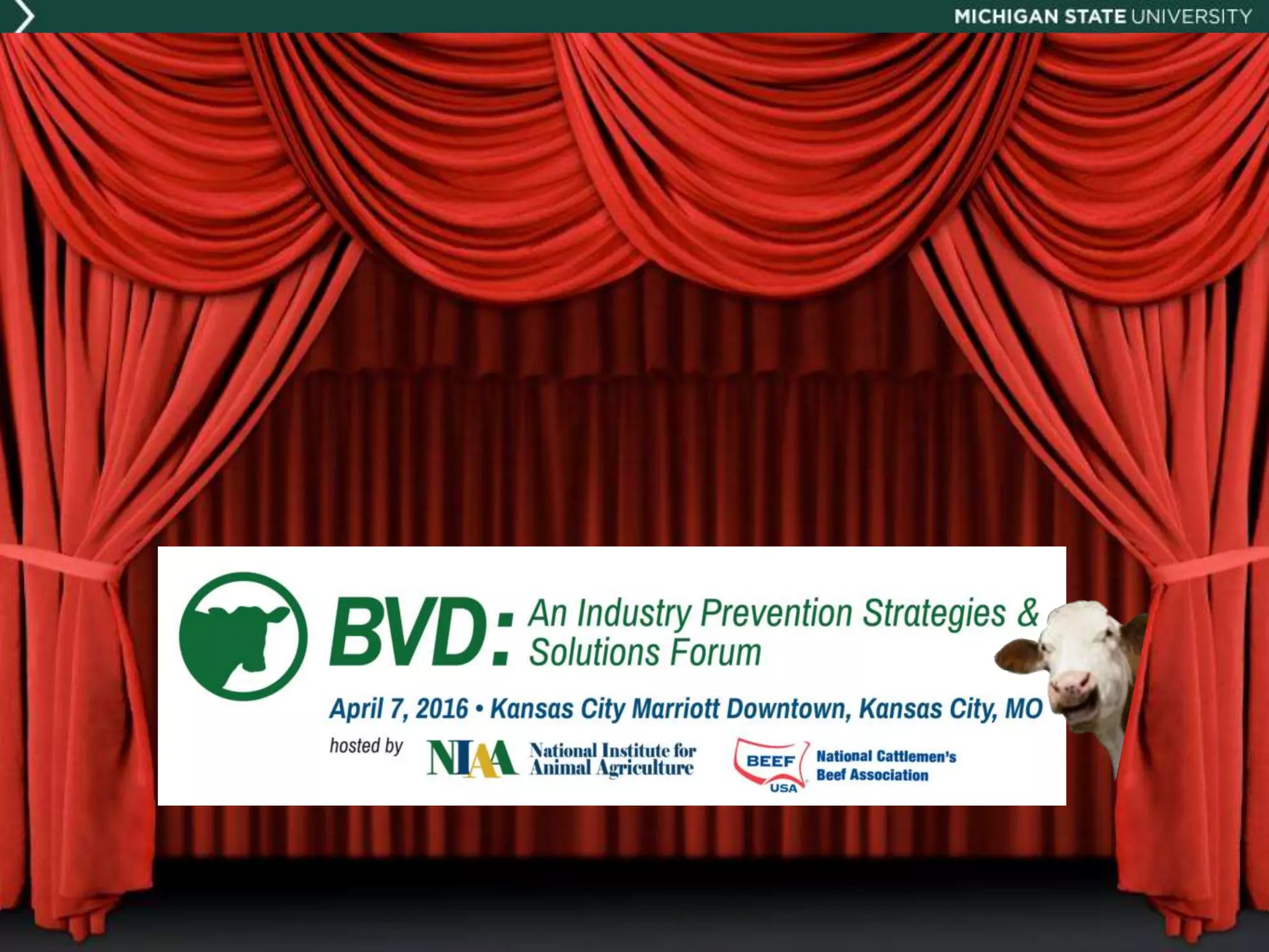 Dr. Dan Grooms - Bovine Viral Diarrhoea (BVD) Overview - The Disease ...