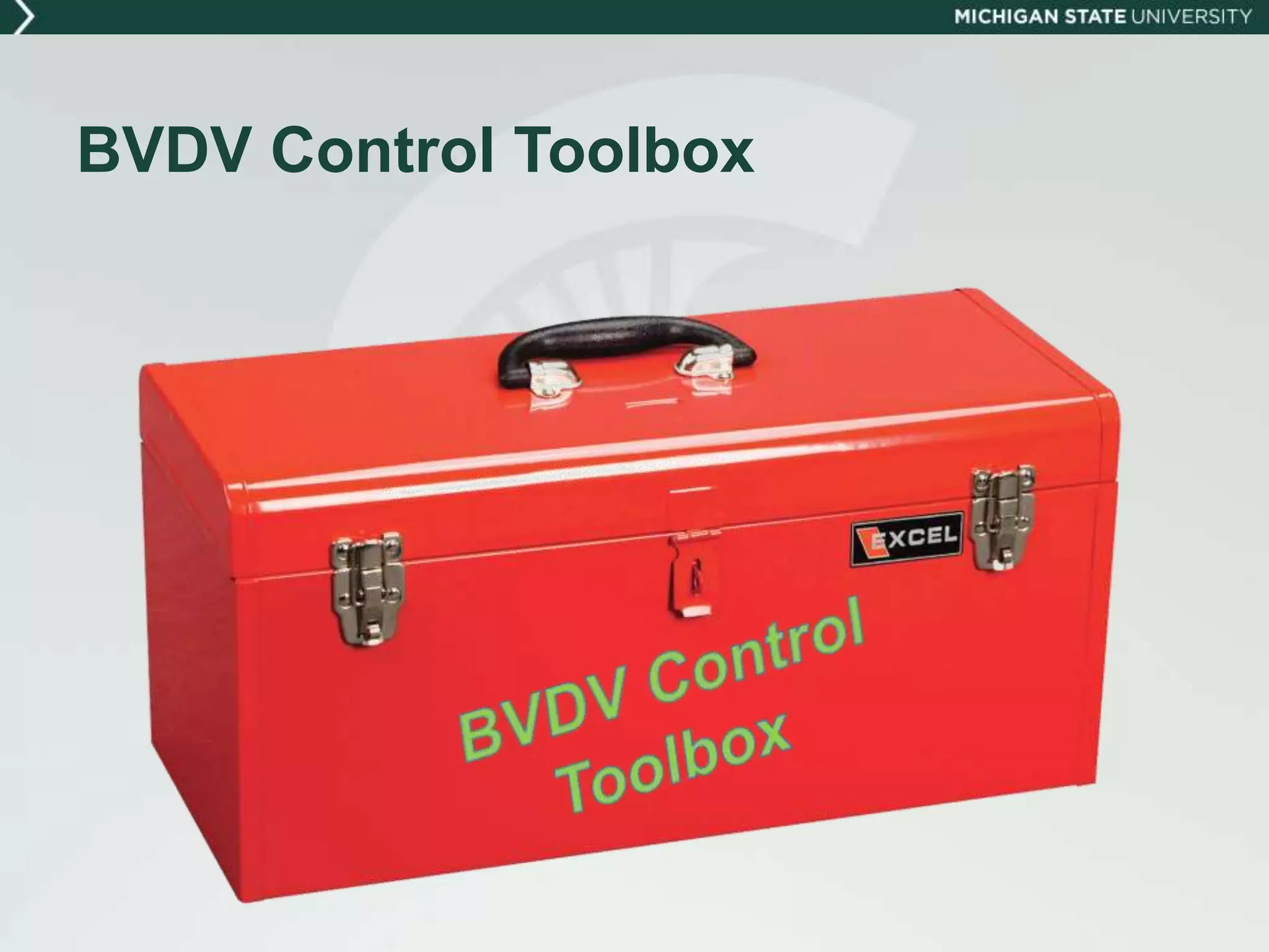 Dr. Dan Grooms - Bovine Viral Diarrhoea (BVD) Overview - The Disease ...