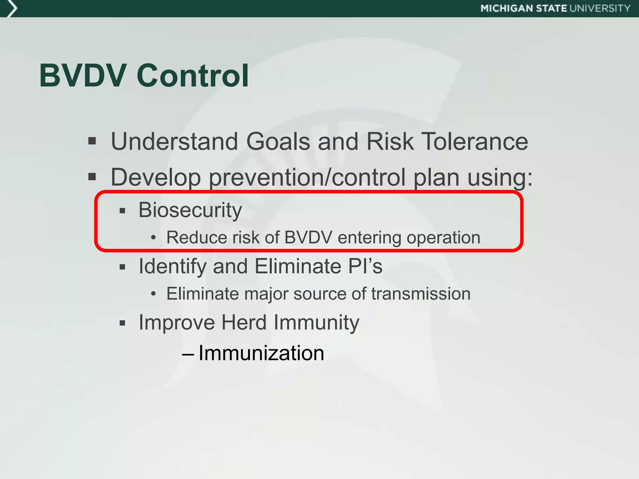 Dr. Dan Grooms - Bovine Viral Diarrhoea (BVD) Overview - The Disease ...