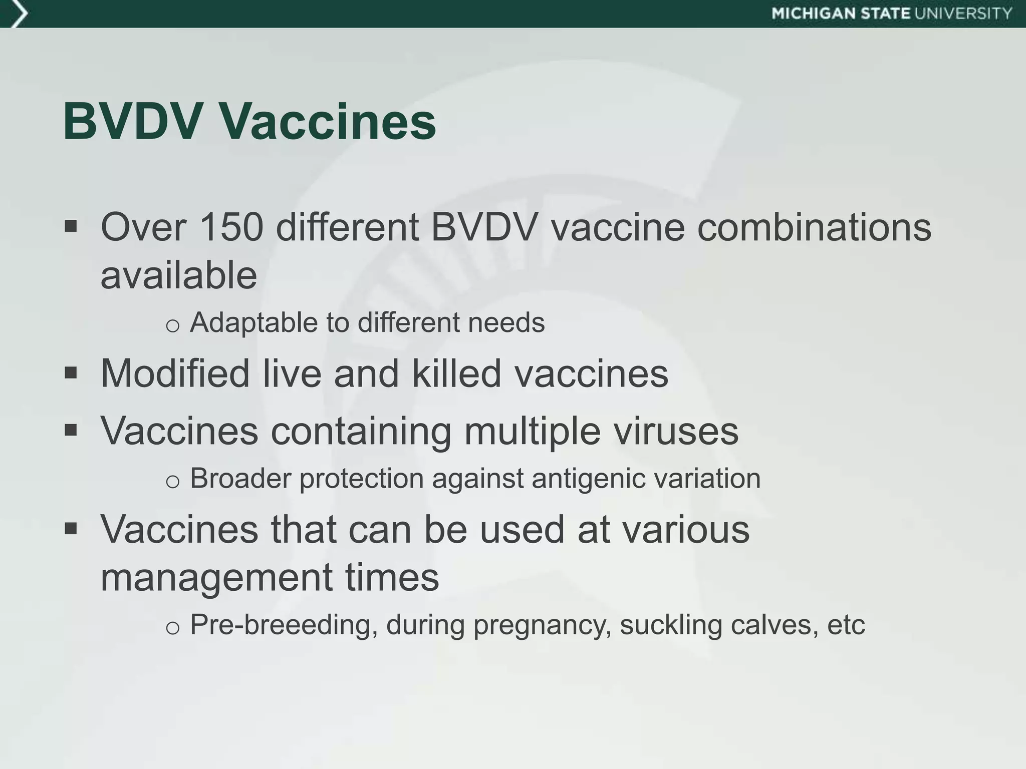 Dr. Dan Grooms - Bovine Viral Diarrhoea (BVD) Overview - The Disease ...