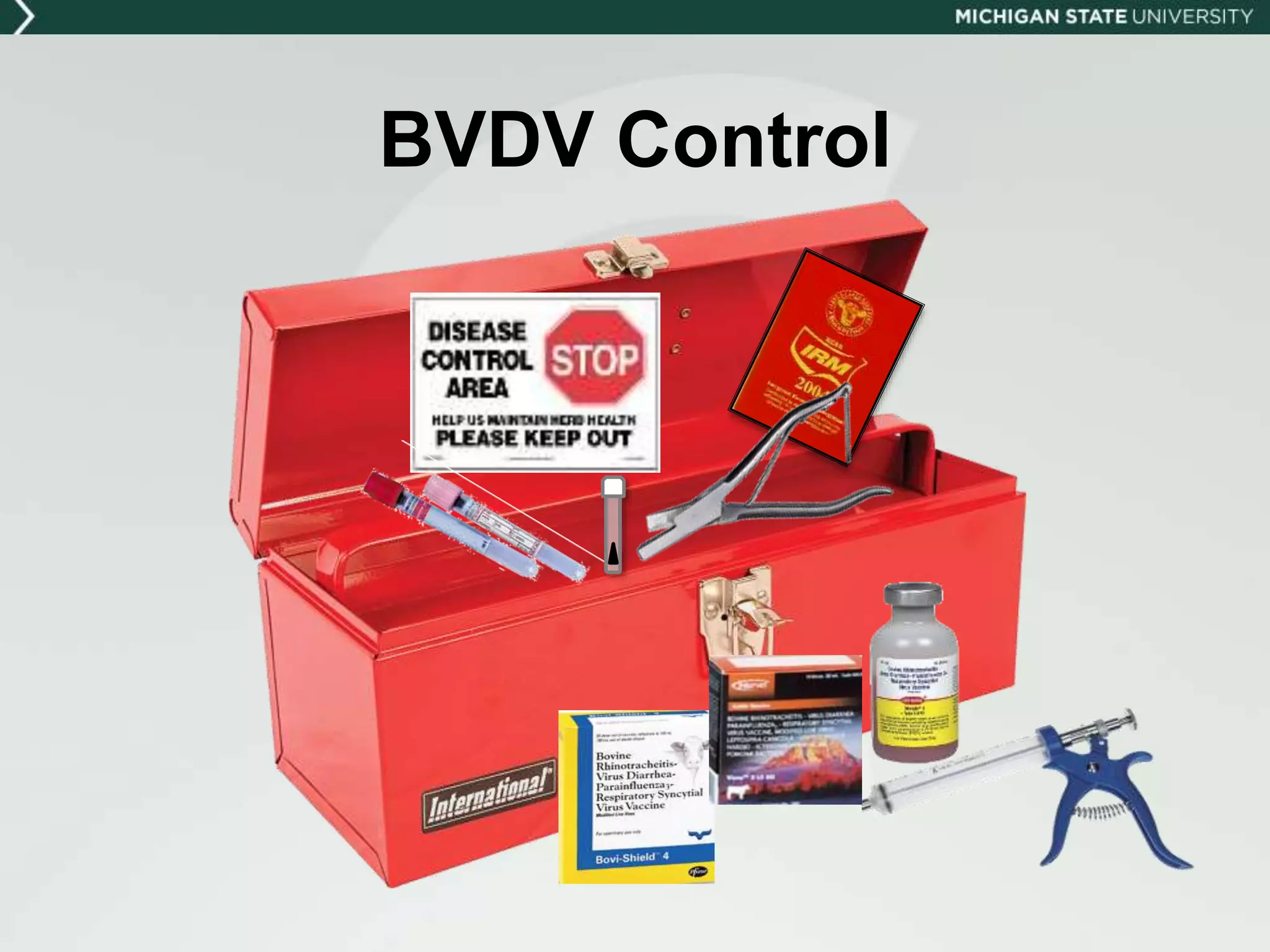 Dr. Dan Grooms - Bovine Viral Diarrhoea (BVD) Overview - The Disease ...