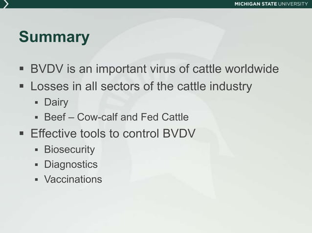 Dr. Dan Grooms - Bovine Viral Diarrhoea (BVD) Overview - The Disease ...