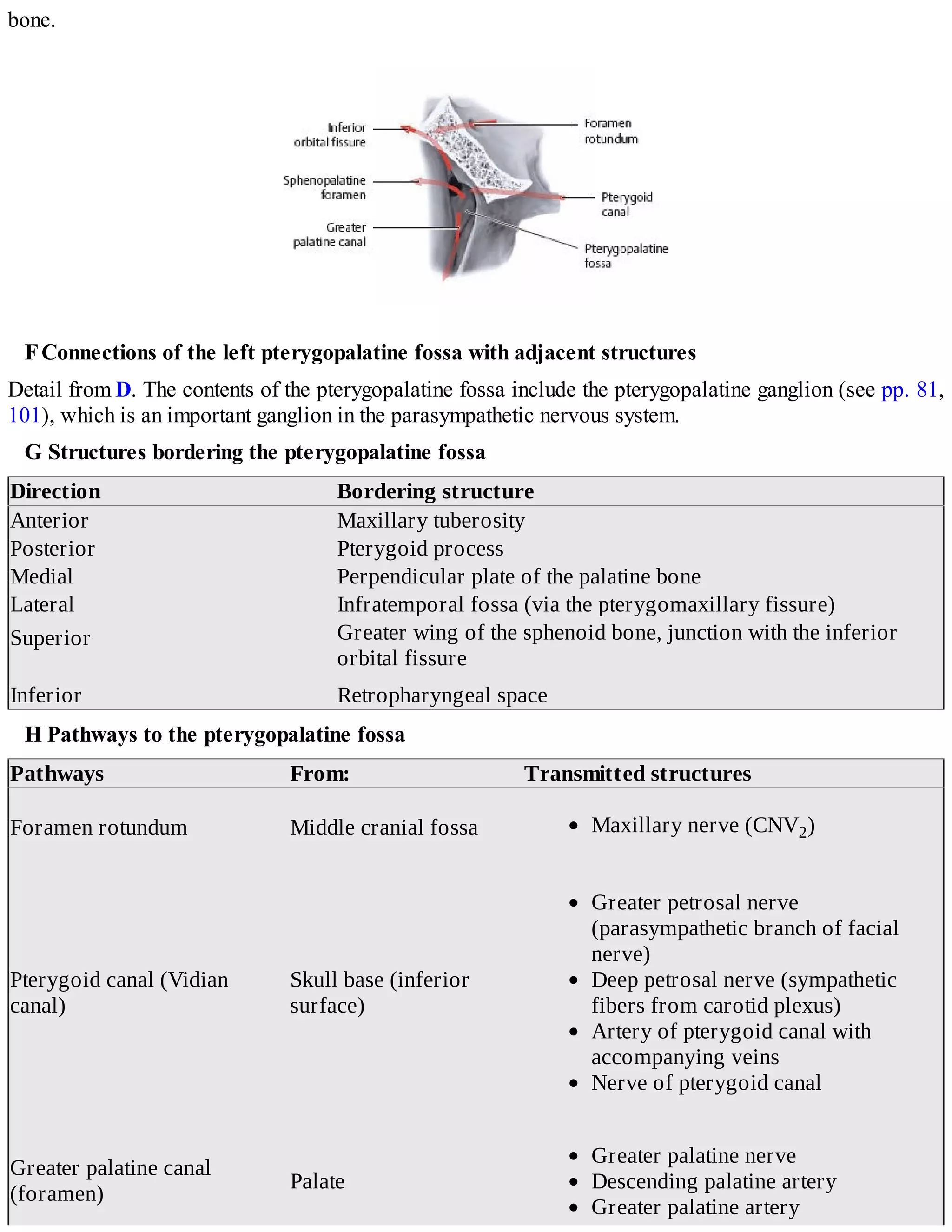 Thieme, Atlas of Anatomy | PDF