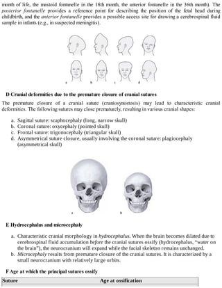 Thieme, Atlas of Anatomy | PDF