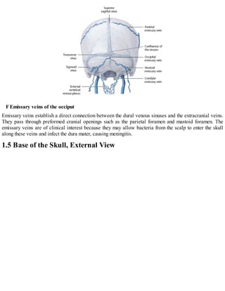 Thieme, Atlas of Anatomy | PDF