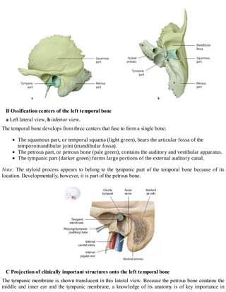 Thieme, Atlas of Anatomy | PDF