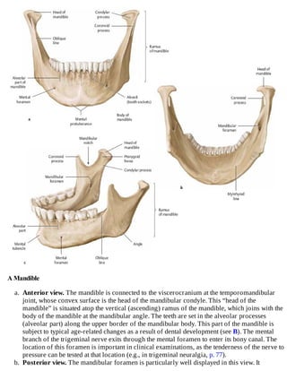 Thieme, Atlas of Anatomy | PDF