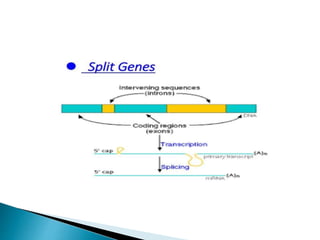 Genetic concept types of gene........... | PPTX