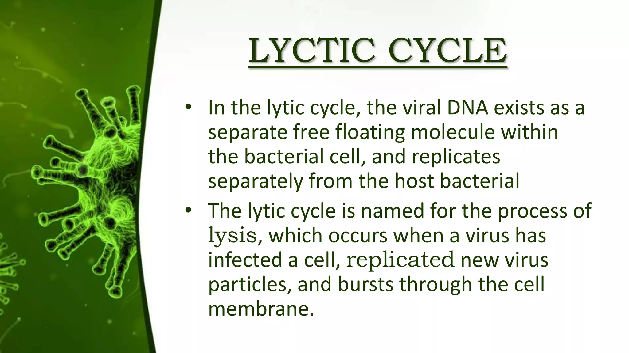 virus life cycle | PPTX