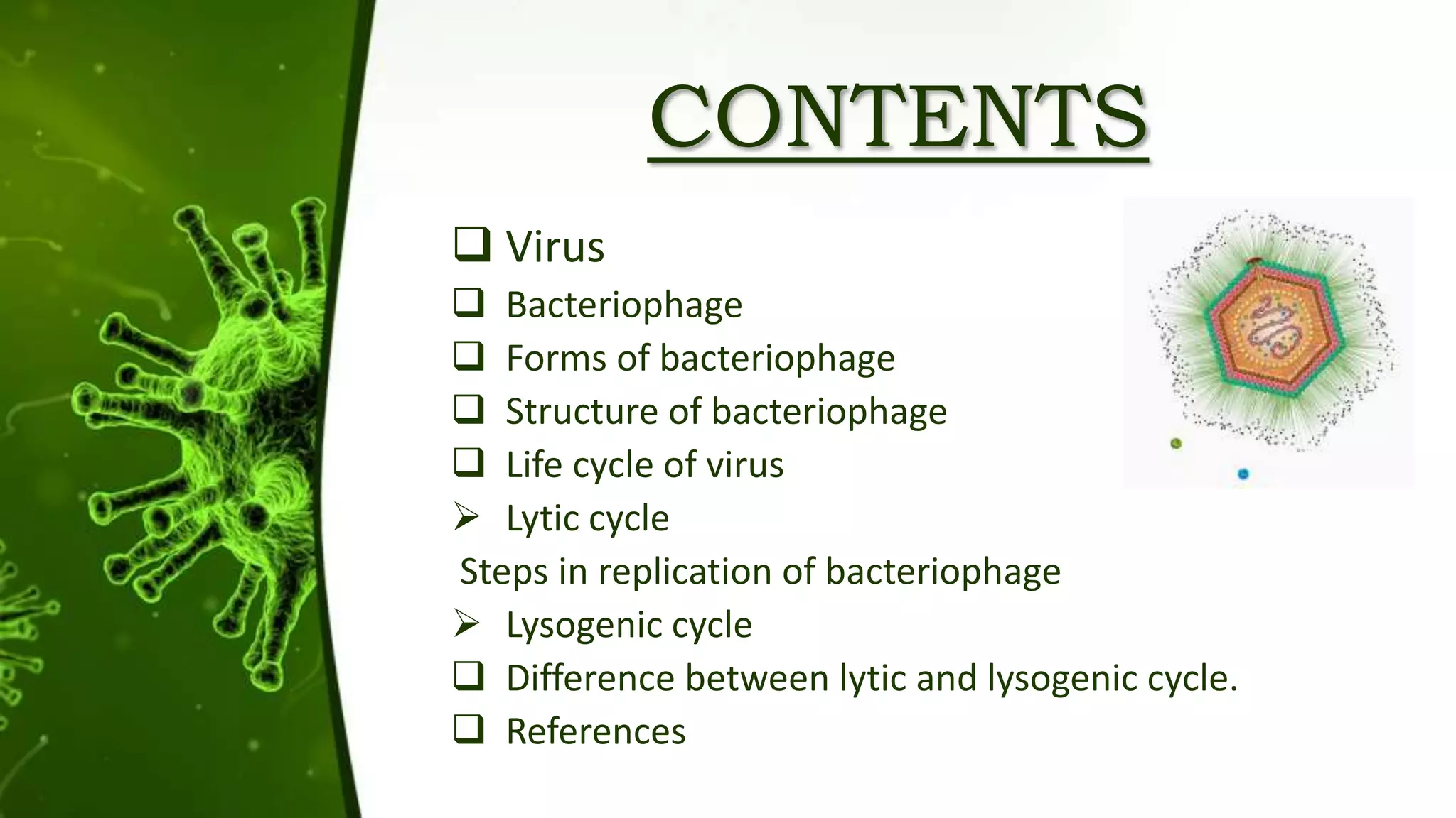virus life cycle | PPTX