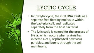 virus life cycle | PPTX