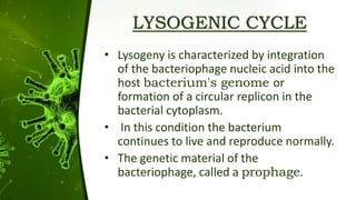 virus life cycle | PPTX