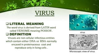 virus life cycle | PPTX