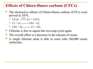 The Ozone Depletion PowerPoint Presentation | PPT