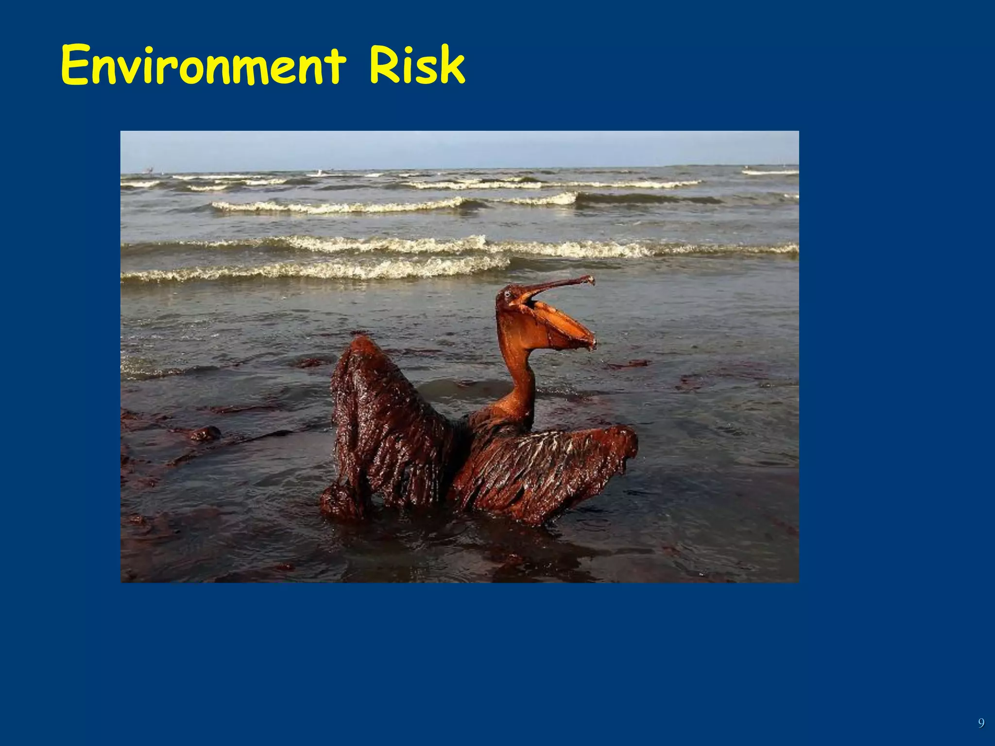 Risk Identification in power plants risk i | PDF