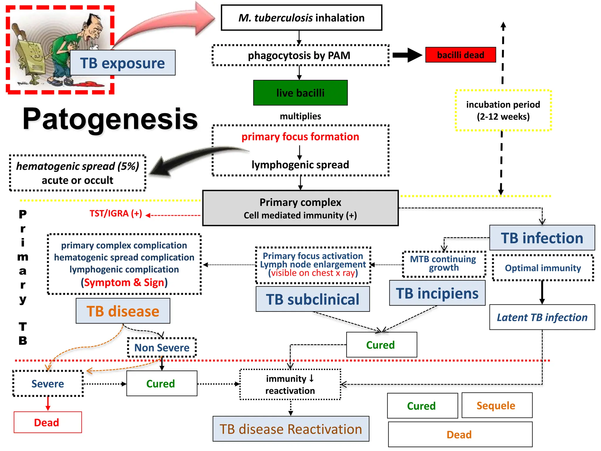 Paparan Tatalaksana Tuberculosis pada Anak | PPTX