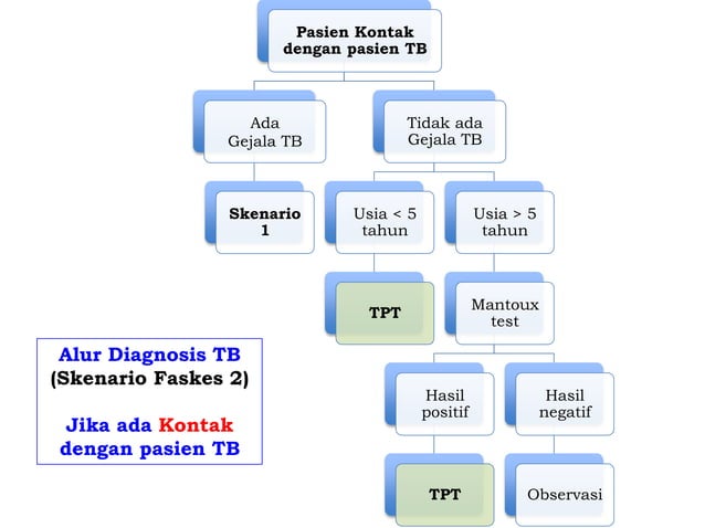 Paparan Tatalaksana Tuberculosis pada Anak | PPTX