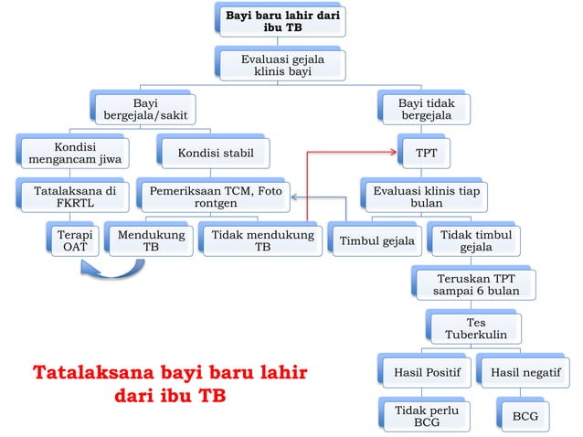 Paparan Tatalaksana Tuberculosis pada Anak | PPTX