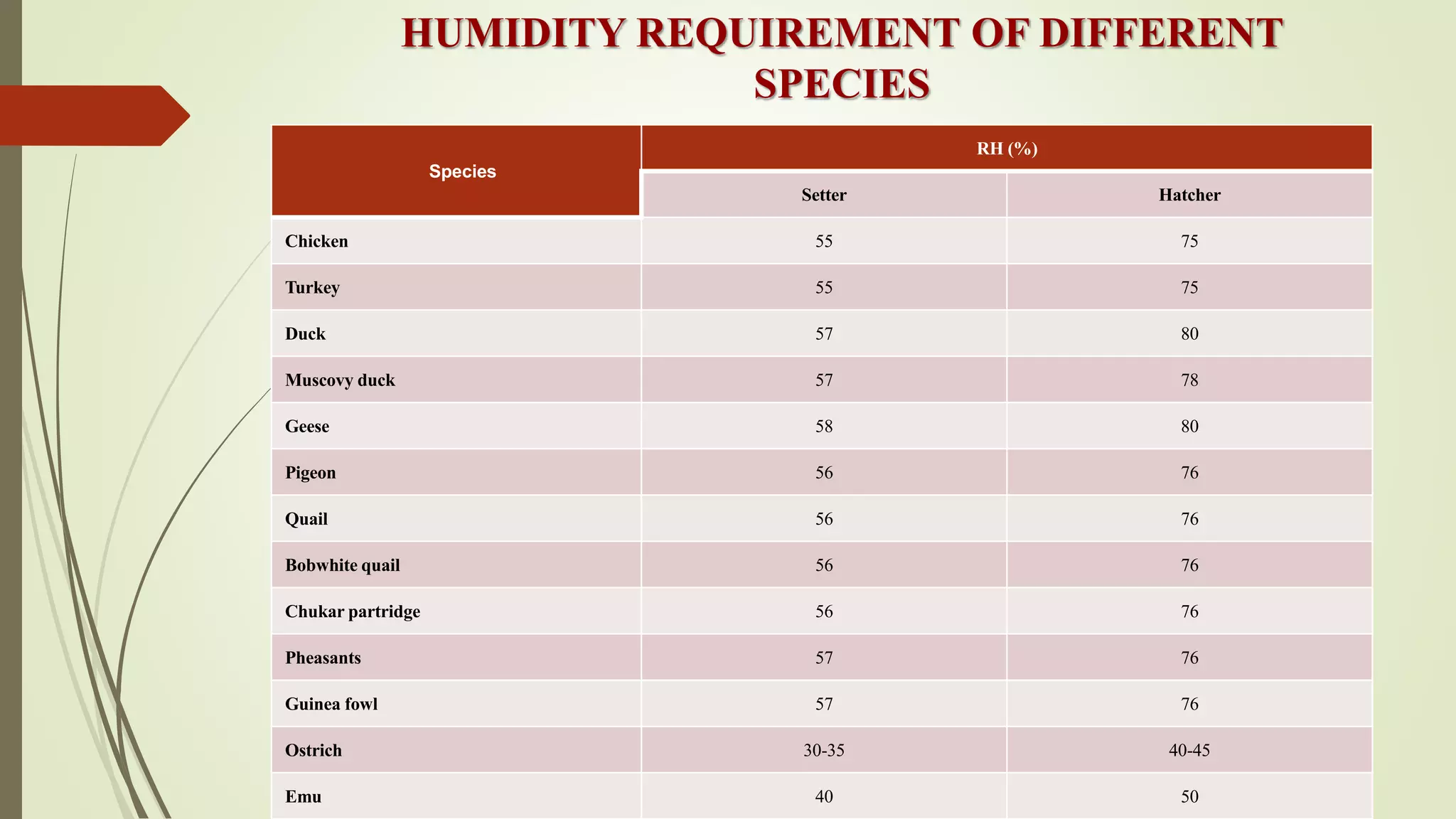 INCUBATION REQUIREMENTS OF POULTRY | PPTX