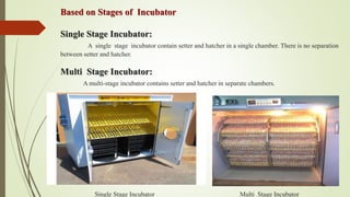 INCUBATION REQUIREMENTS OF POULTRY | PPTX