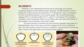 INCUBATION REQUIREMENTS OF POULTRY | PPTX