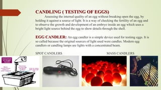 INCUBATION REQUIREMENTS OF POULTRY | PPTX