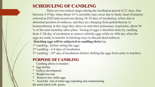 INCUBATION REQUIREMENTS OF POULTRY | PPTX