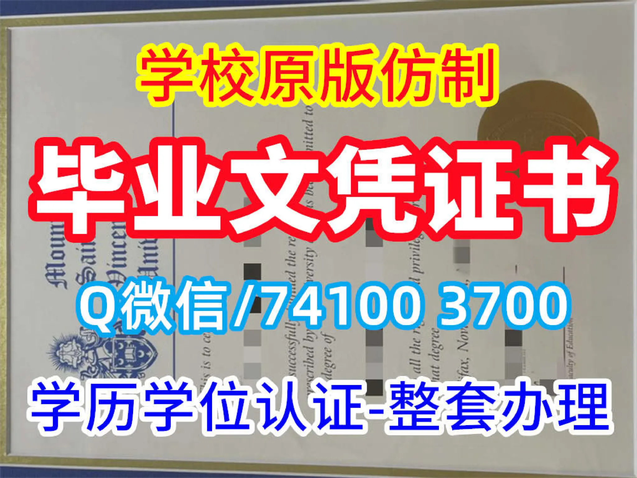 unibo Bachelor Degree | PDF | Undergraduate Education | College Education