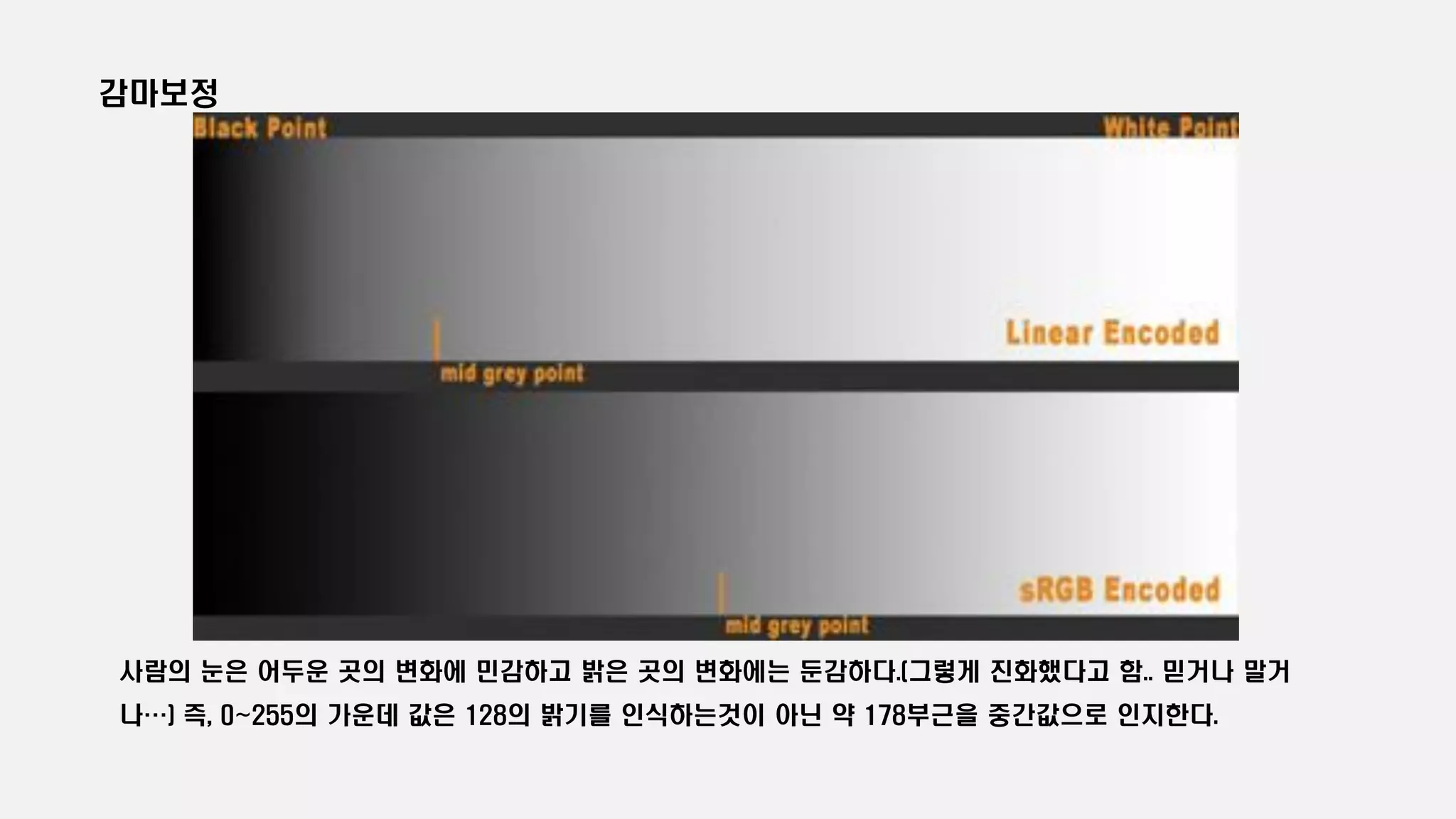 LCD Monitor 선택 가이드와 Gamma의 이해 | PDF