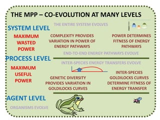 Maximum Power and a Sustainable Economy | PPTX