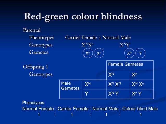 1606735473 Sex Linkage And Sex Linked Traits Ppt