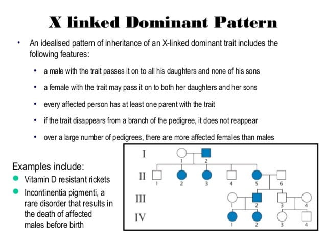 1606735473 Sex Linkage And Sex Linked Traits Ppt
