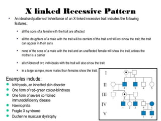 1606735473-sex-linkage and sex linked traits.ppt