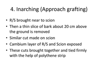 1606924238-grafting.pptx