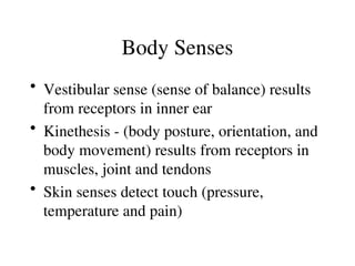 chapter 2 ps sensation-perception (1).ppt