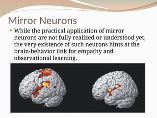 observational-learning. power pointslide | PPT