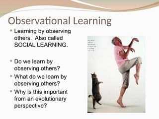 observational-learning. power pointslide | PPT