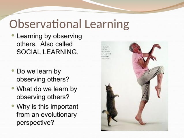 observational-learning. power pointslide | PPT