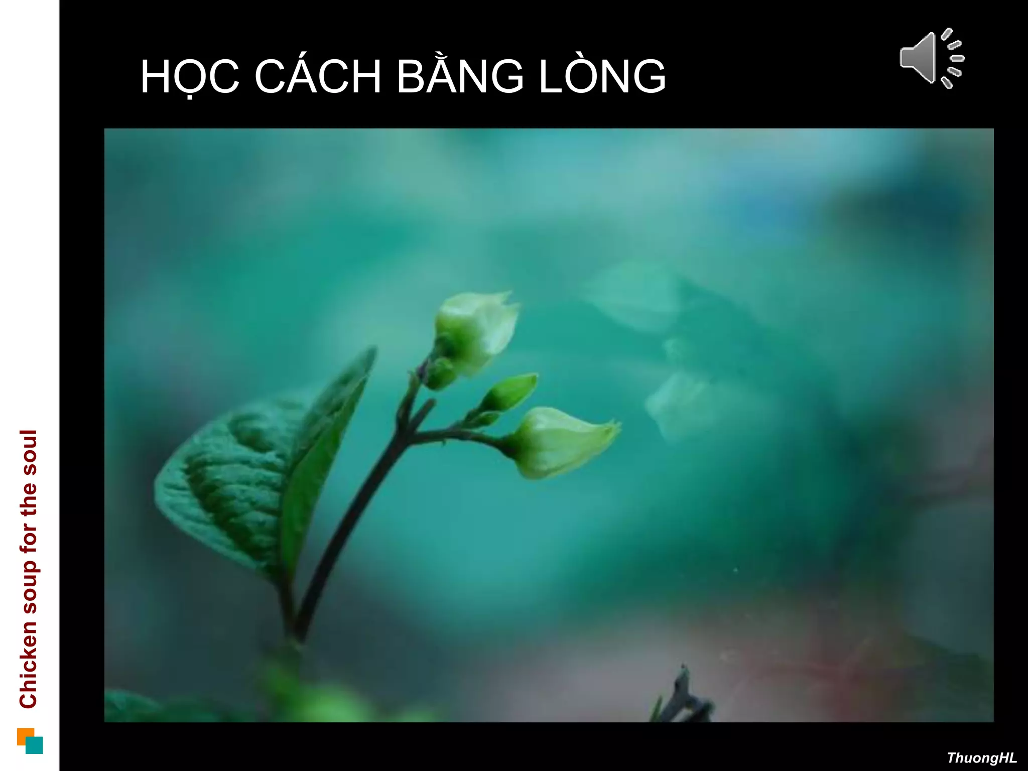 160725 hoc cach bang long | PPTX