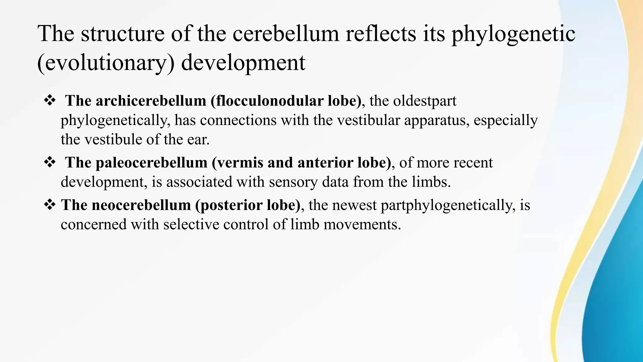 Brain development | PPTX
