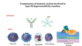 Hypersensitivity (Type 3 Hypersensitivity) | PPTX