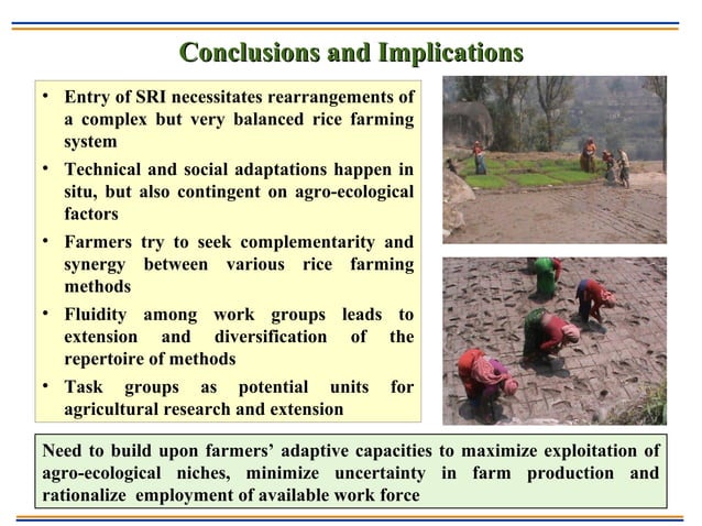 1608 - How farmers in Uttarakhand reworked the System of Rice ...