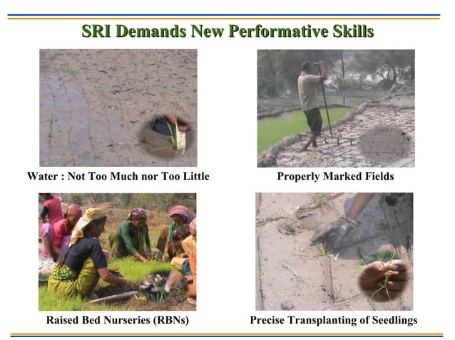 1608 - How farmers in Uttarakhand reworked the System of Rice ...