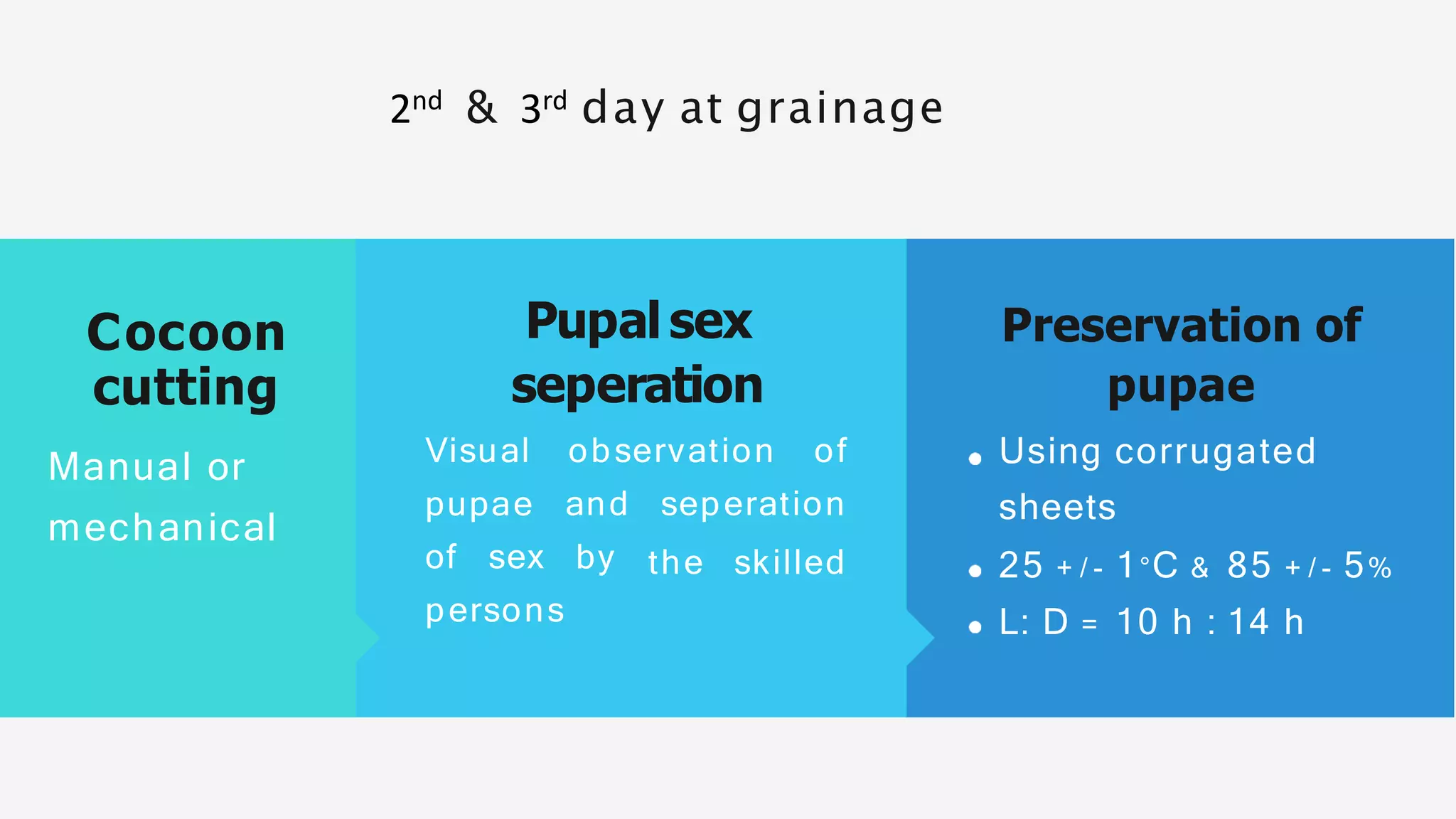 BIVOLTINE HYBRID PRODUCTION- CSB | PPTX