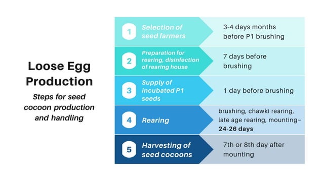 BIVOLTINE HYBRID PRODUCTION- CSB | PPTX | Infectious Diseases | Diseases and Conditions